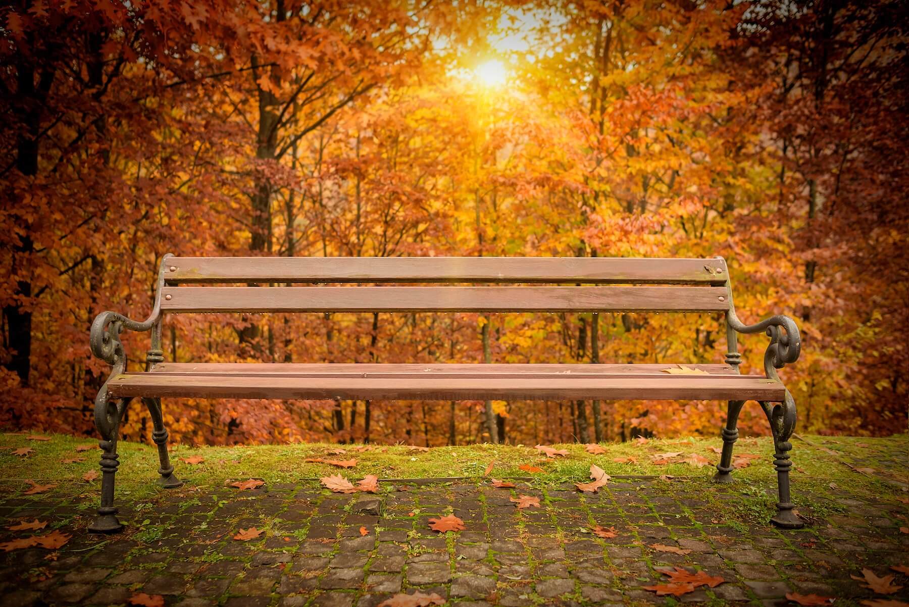 Investment Benchmarks: How to Measure Success